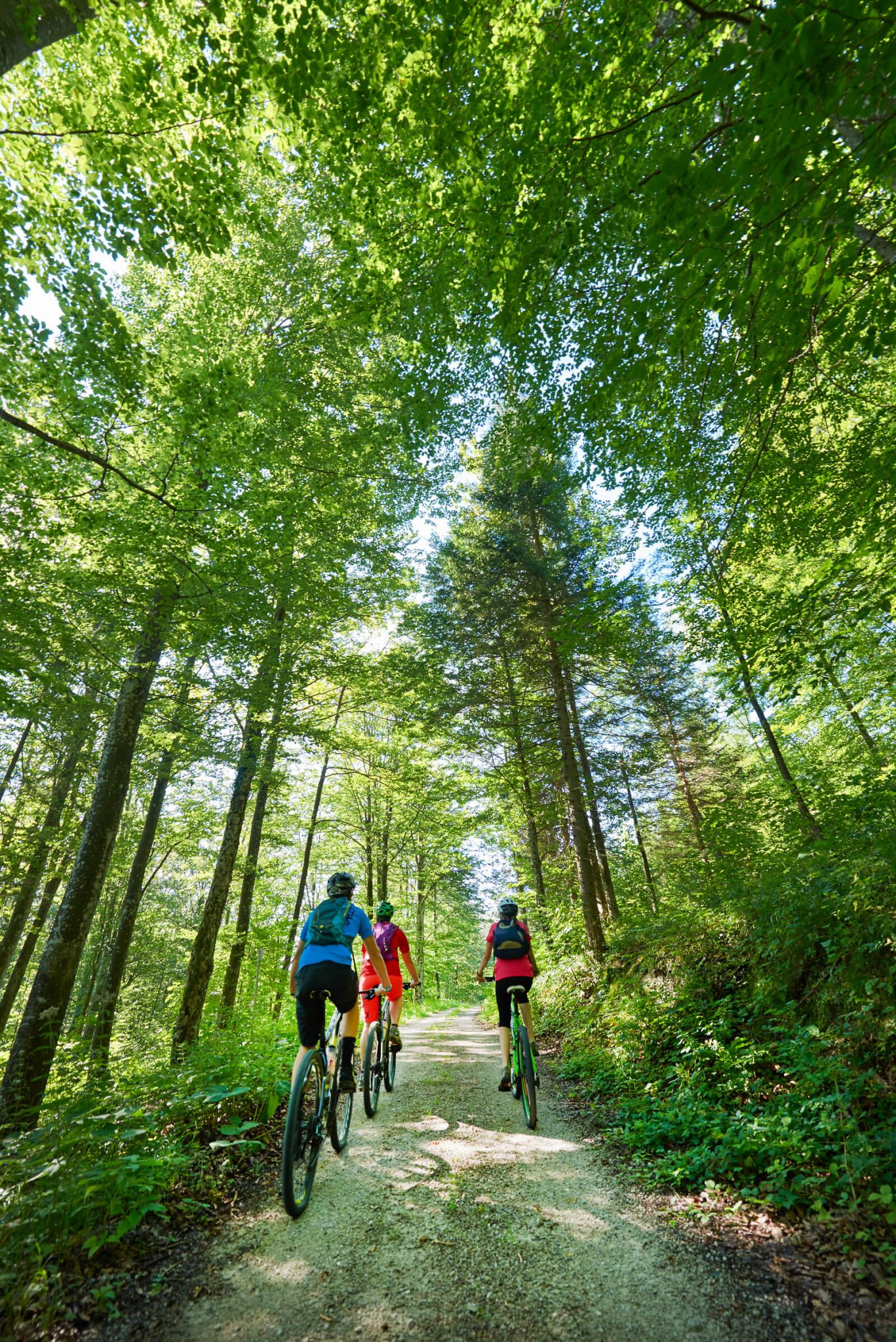 Roška Trail in Kočevsko: Immer der Bärenpfote nach in Slowenien